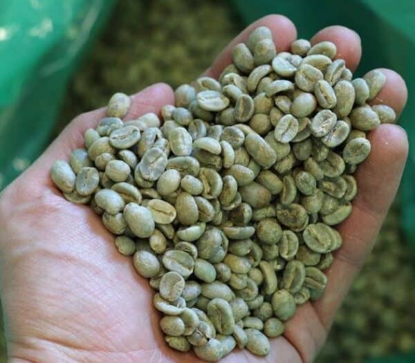 Popayán Decaf kopen? - Keen Coffee